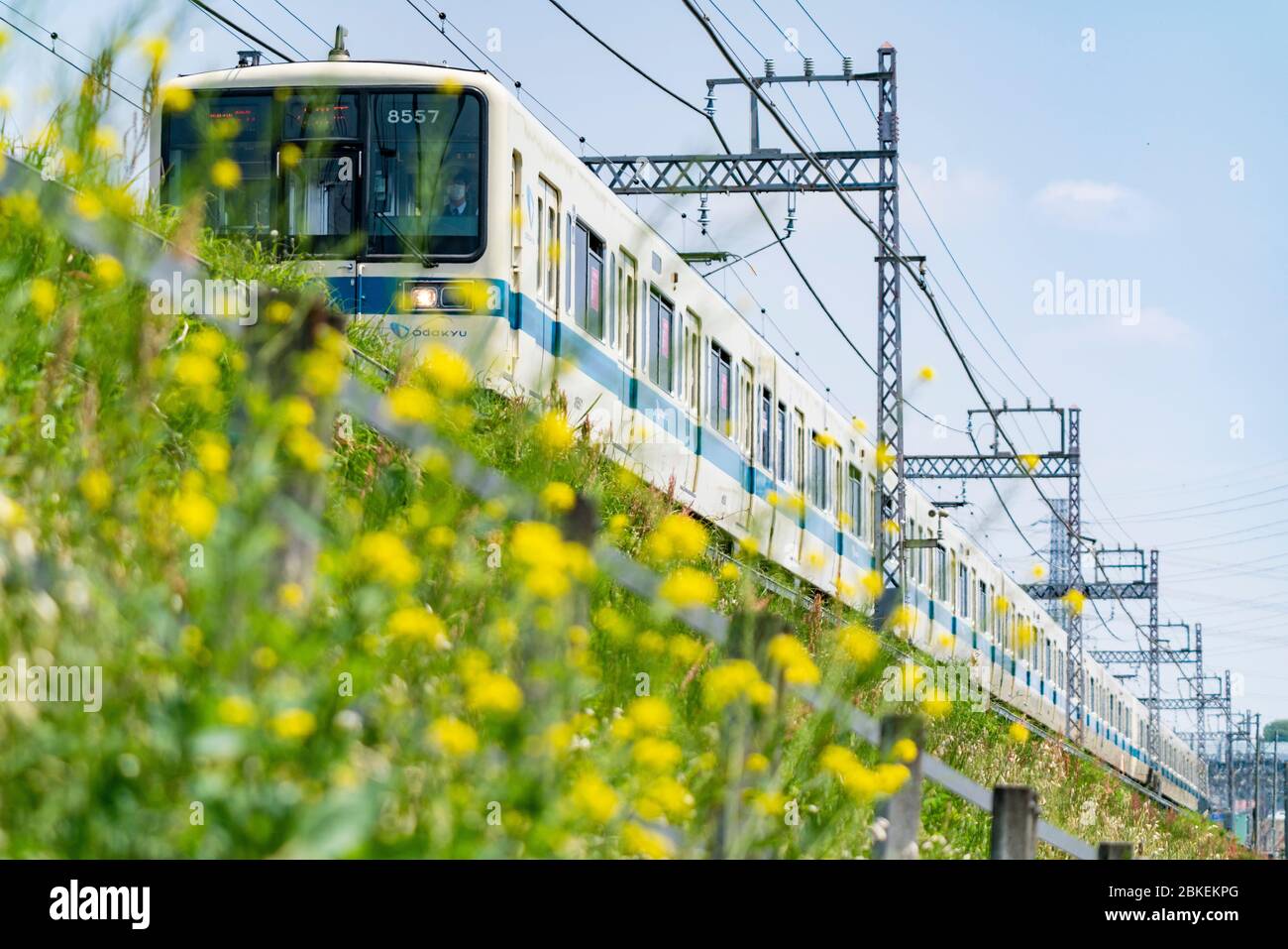 Beside a railway line hi-res stock photography and images - Alamy