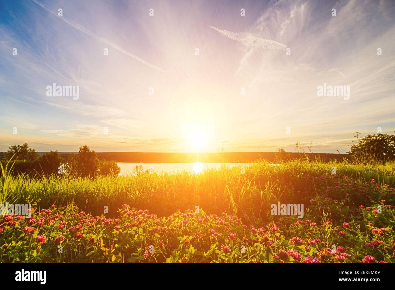 Scenic view of beautiful sunset above the lake with clover in the ...