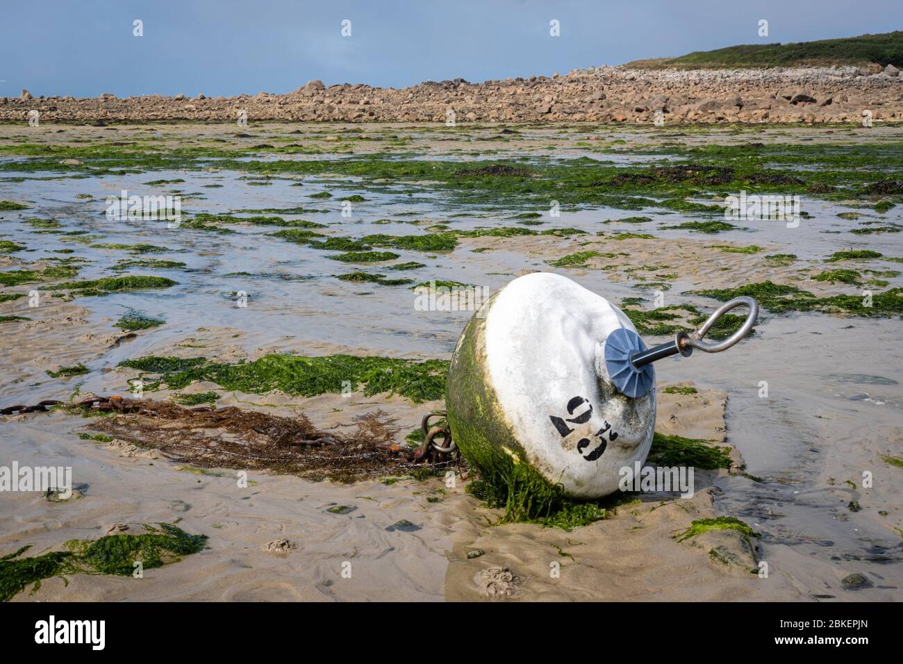 Algae on littoral low hi-res stock photography and images - Alamy