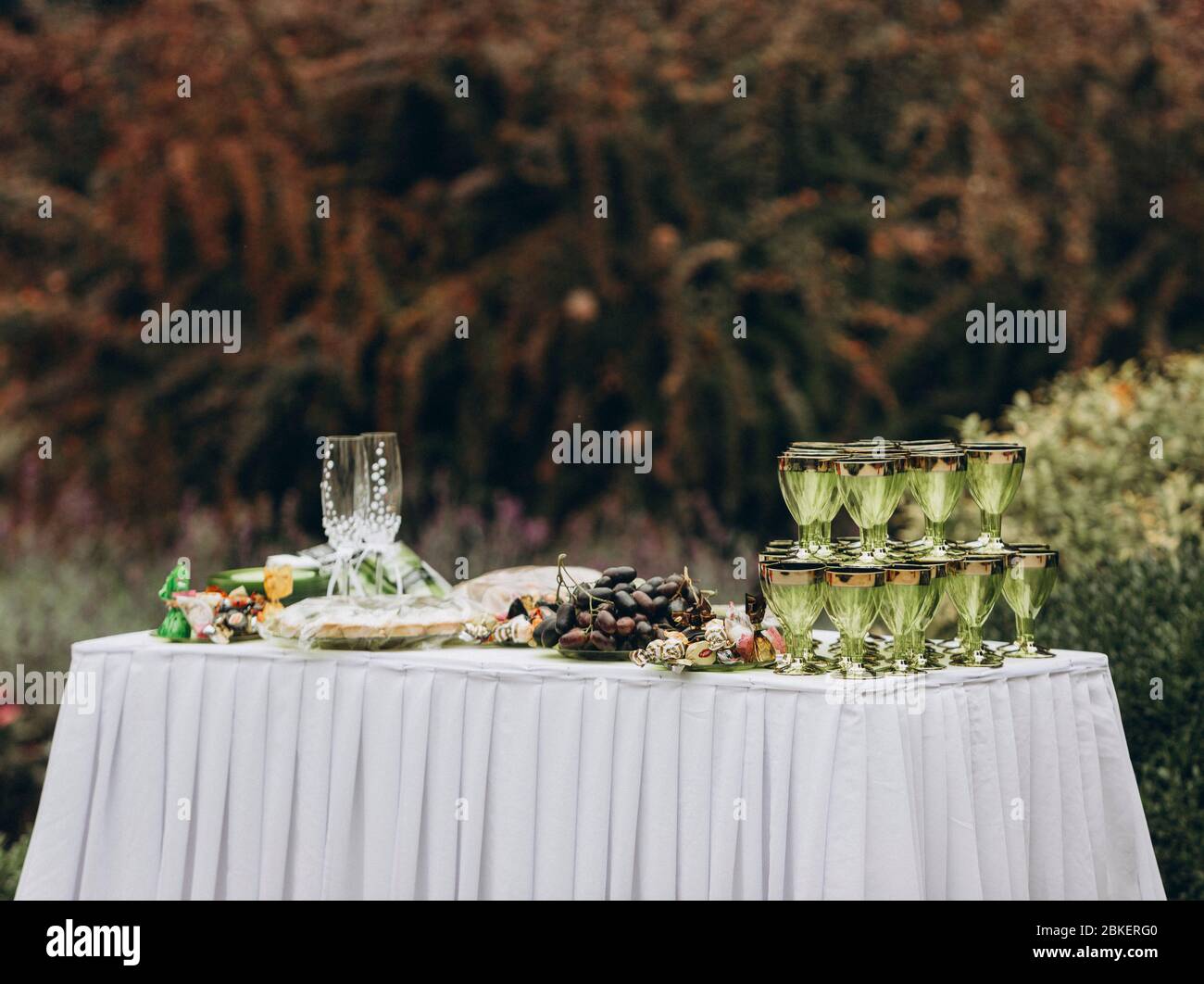 Glass tanks hi-res stock photography and images - Alamy