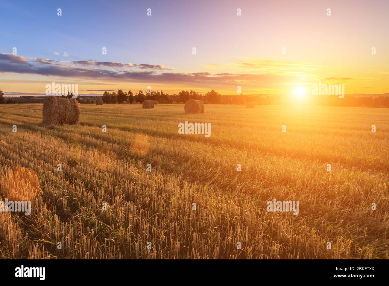 Haystacks on the field in Autumn season. Rural landscape with cloudy ...