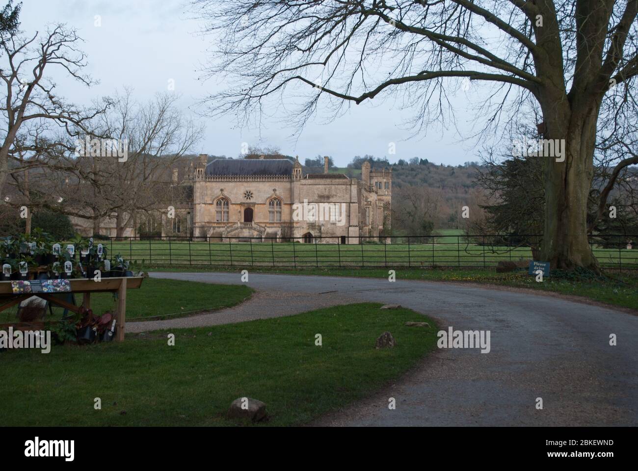 Lacock abbey and village hi-res stock photography and images - Alamy