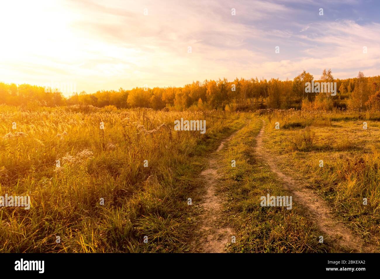 Scene of sunset on a field with grass, trees, footpath and dramatic ...