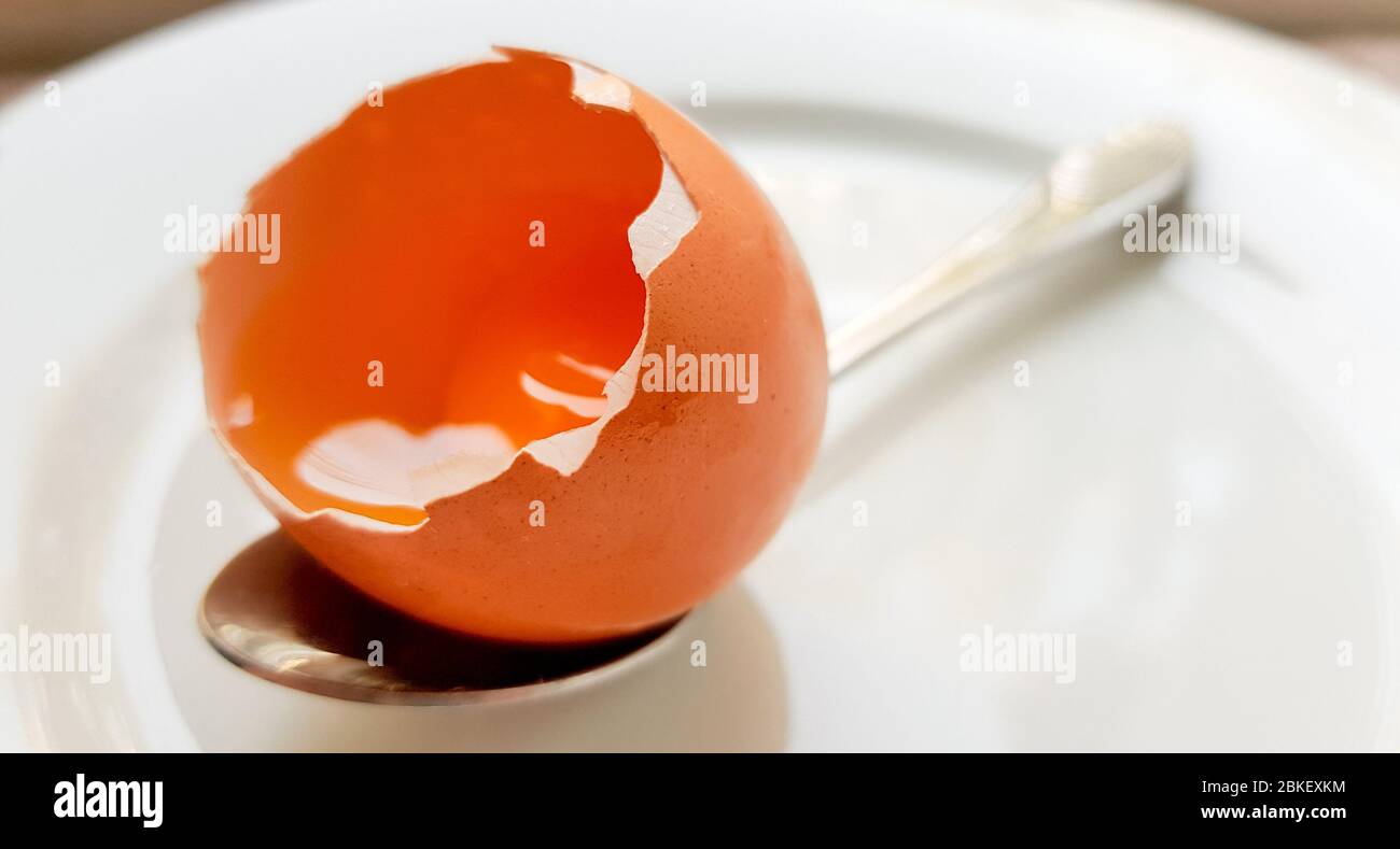 broken chicken egg in a white plate and spoon close-up. background with ...
