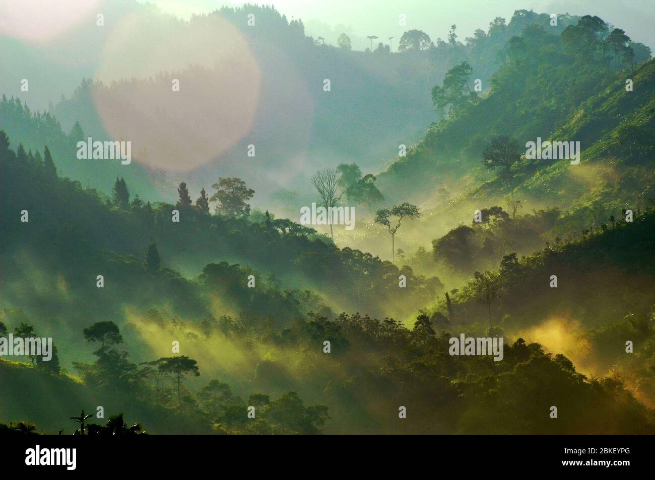 Mountain ridges covered with forest and bushes at the foot of Mount ...