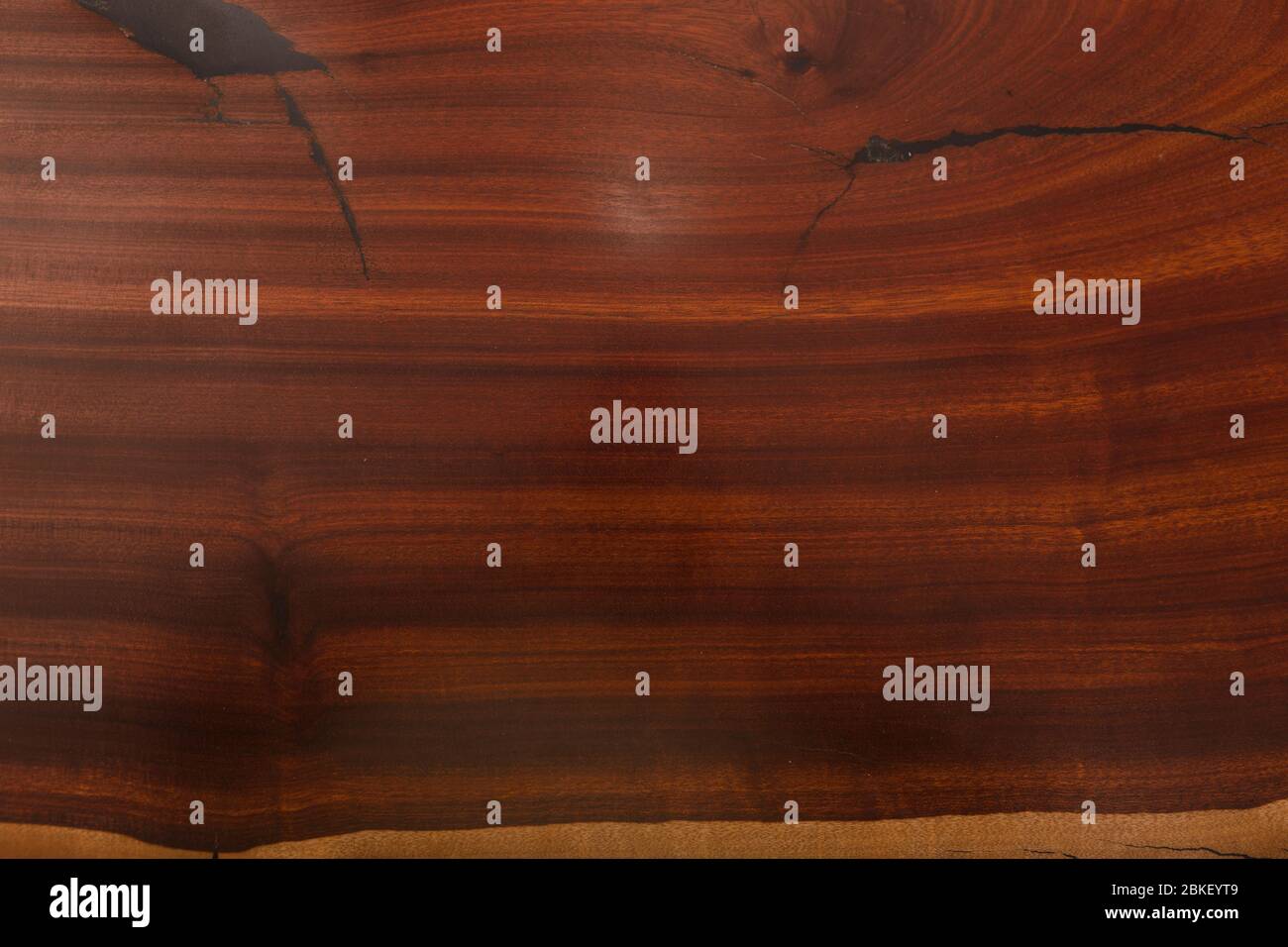 Wood texture cut tree trunk background Stock Photo - Alamy