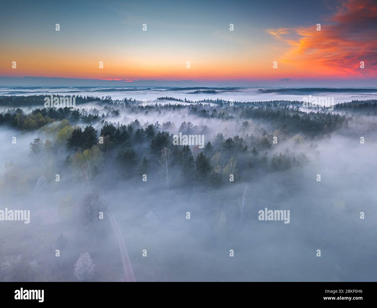 Fog and mist covering the forest in Lithuania Stock Photo - Alamy