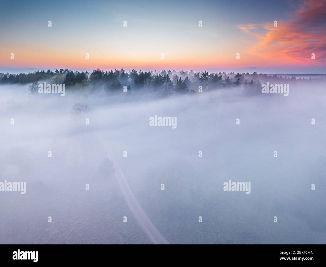 Fog and mist covering the forest in Lithuania Stock Photo - Alamy