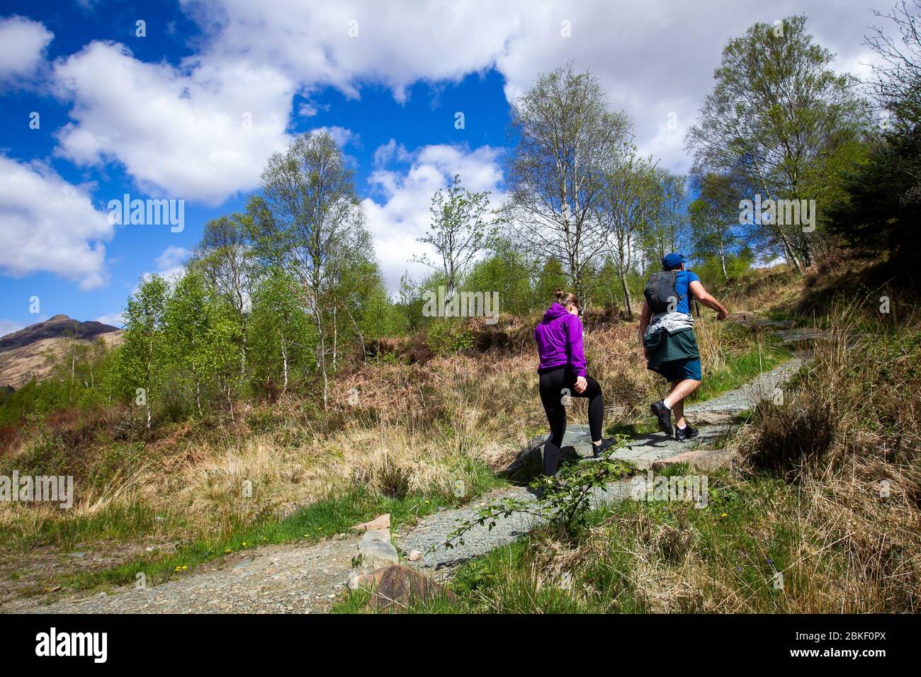 Two hill walkers climbing Ben Lomond, Scotland, UK Stock Photo - Alamy
