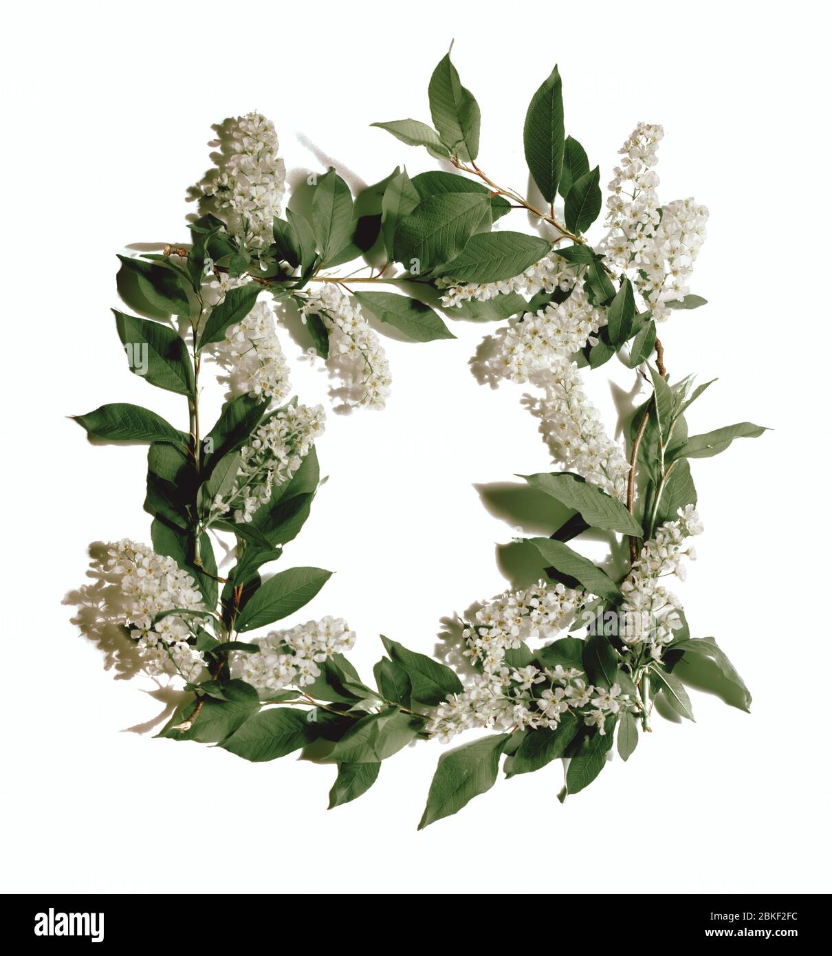 Cherry flowers frame Cut Out Stock Images & Pictures - Alamy