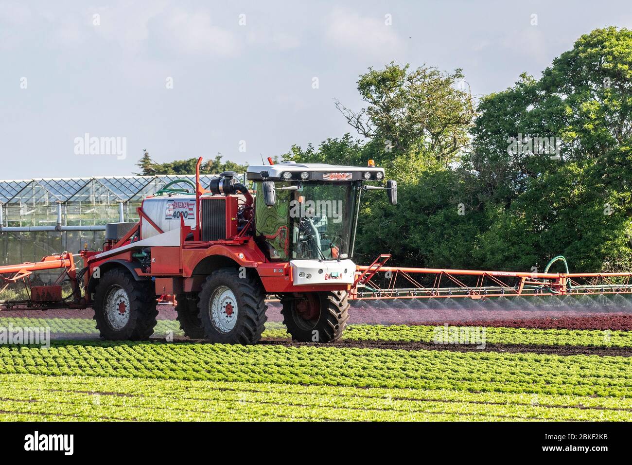 Spraying salad crops in ‘The Salad Bowl’ of Lancashire, an intense ...