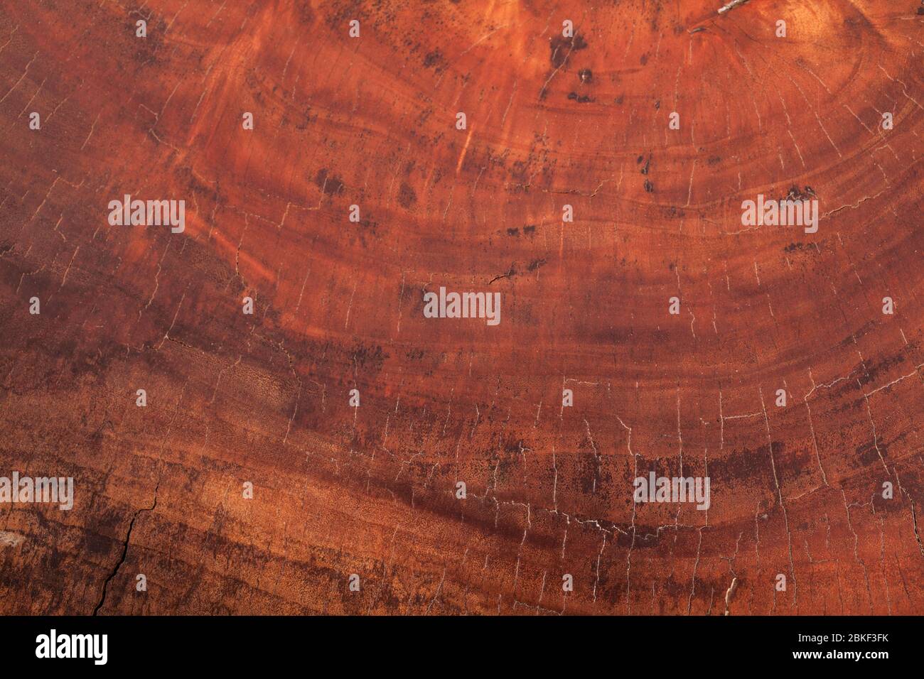 Red wood pattern of the surface texture Stock Photo - Alamy