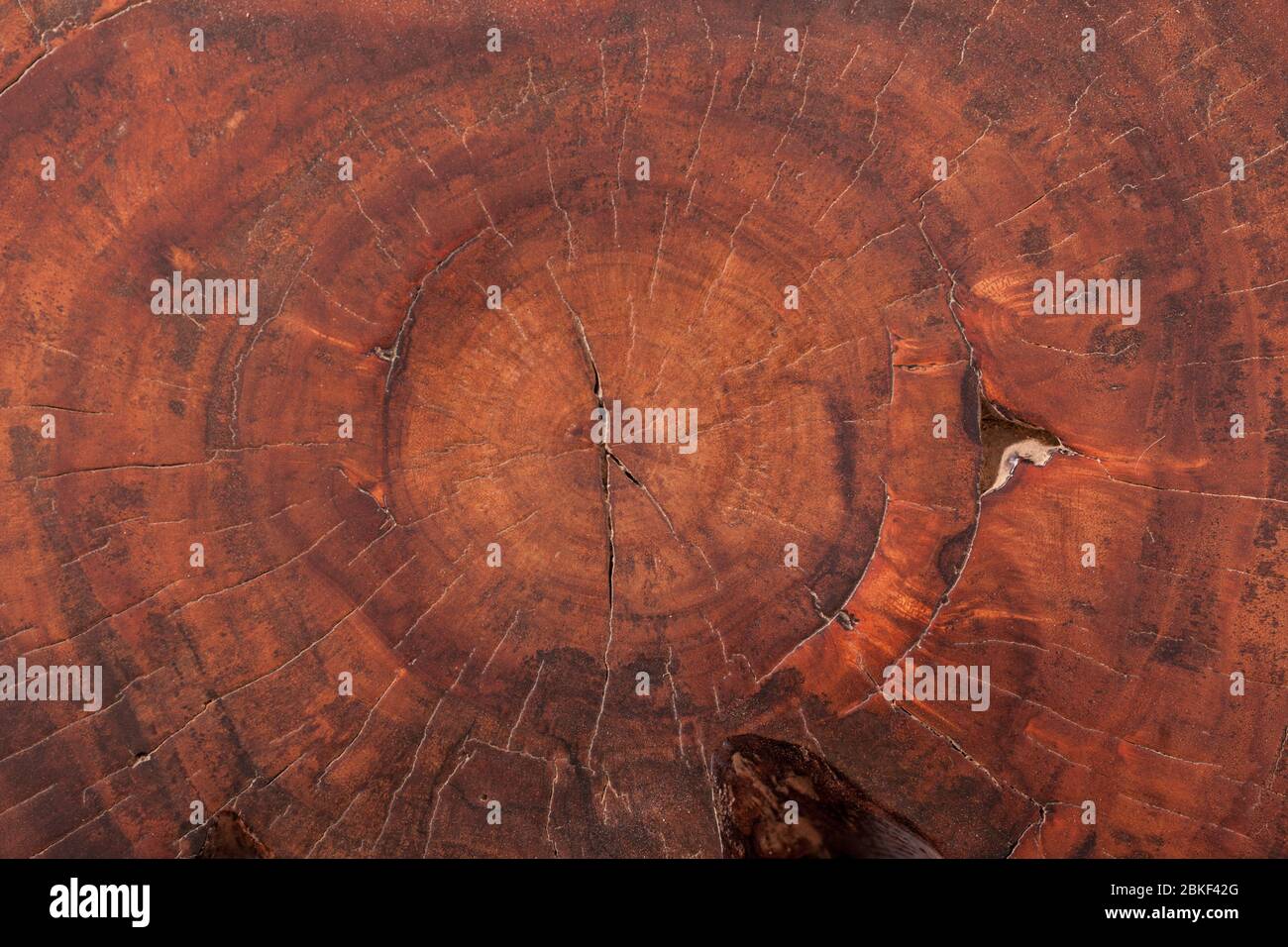 Red wood pattern of the surface texture Stock Photo - Alamy