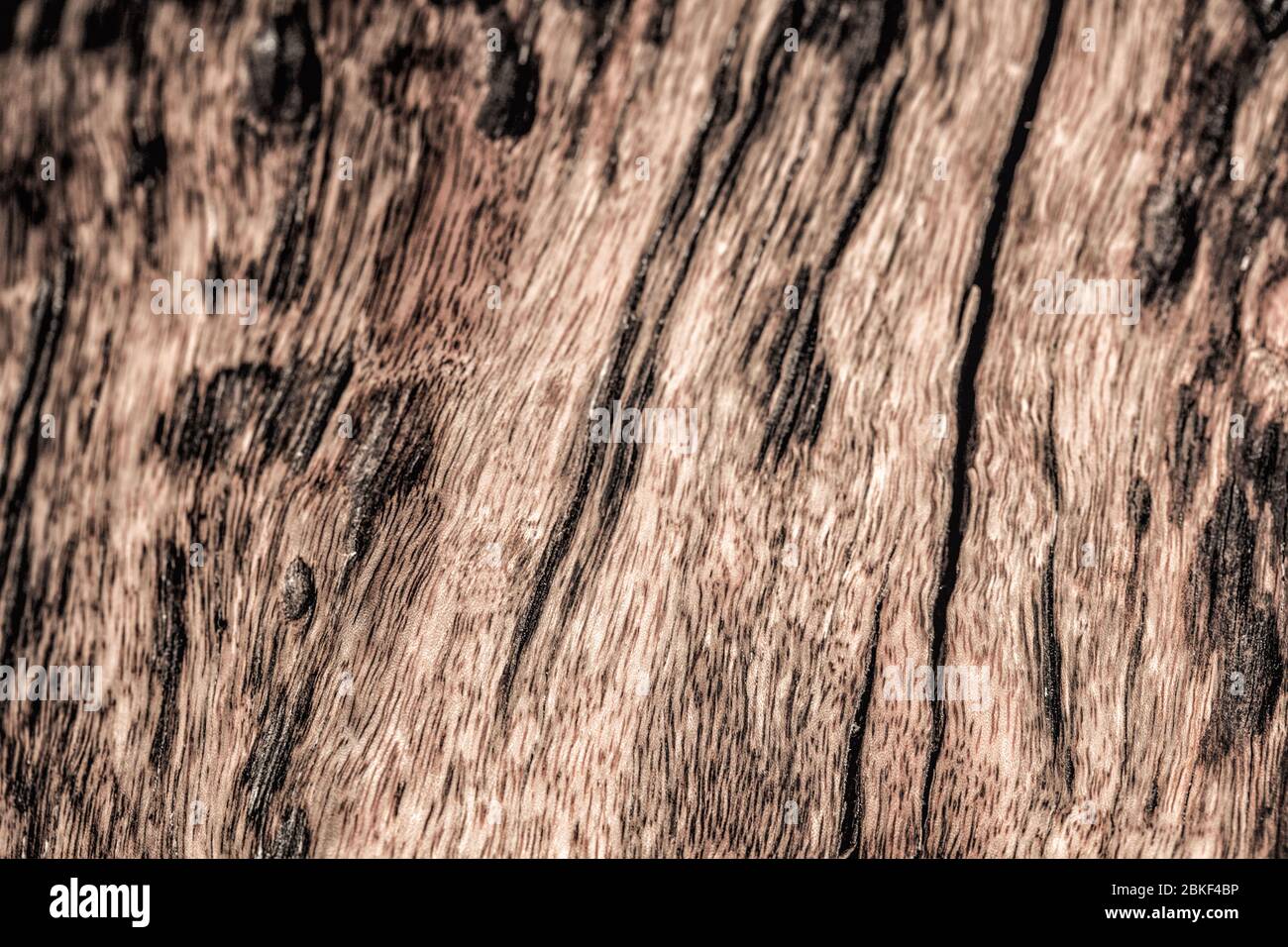 old rustic wood background texture Stock Photo - Alamy