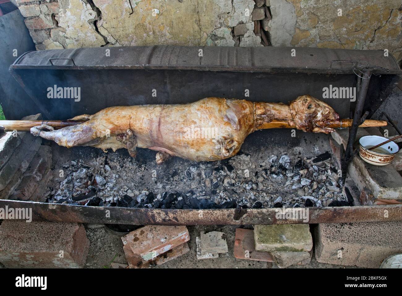 Sheep are grilled especially for an important celebration. Only guest ...