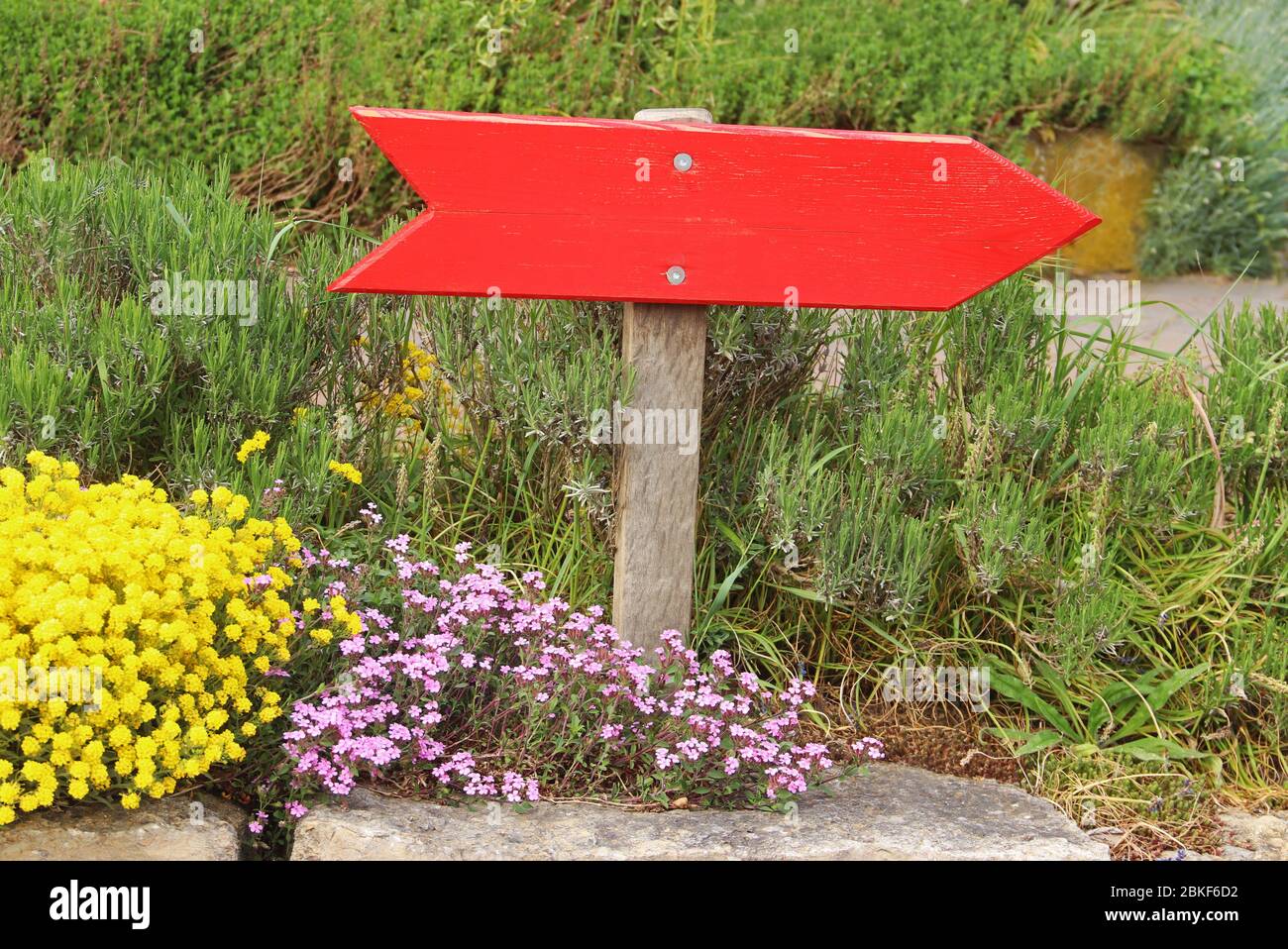 red signpost standing in a garden between flowers, background with copy ...