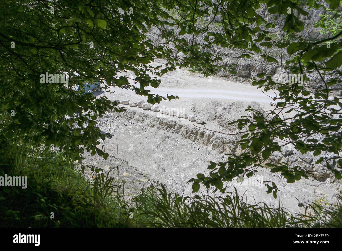 Breeze through the trees hi-res stock photography and images - Alamy