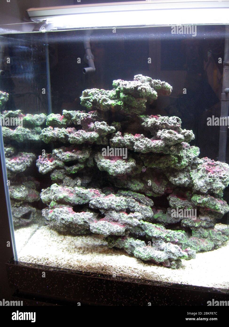 Live rocks in tropical marine aquarium Stock Photo - Alamy