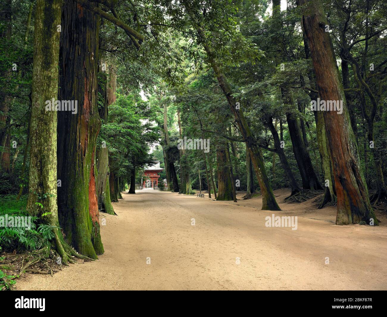 Romon Gate, Kashima Jingu shrine and forest, Kashima, Japan Stock Photo ...