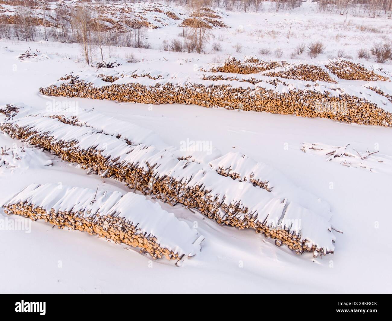 Log storage forest, winter logging, sawmill, top view, aerial photo ...