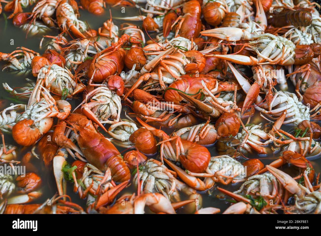Boiled crawfish, fried crawfish, crawfish étouffée, crawfish beignets ...