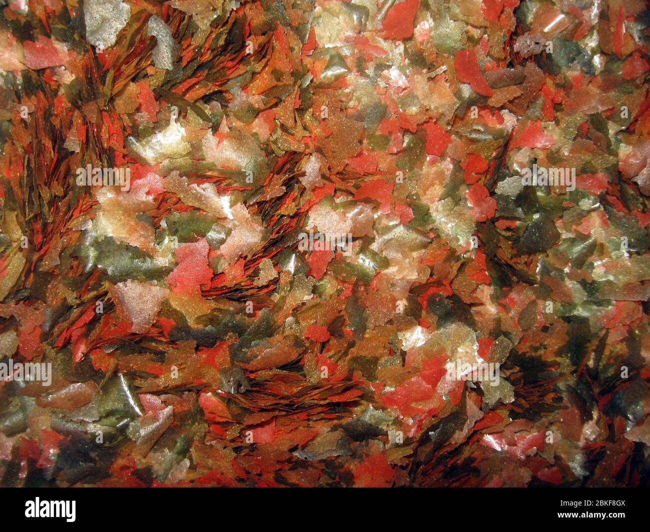Flakes food for aquarium fishes Stock Photo - Alamy