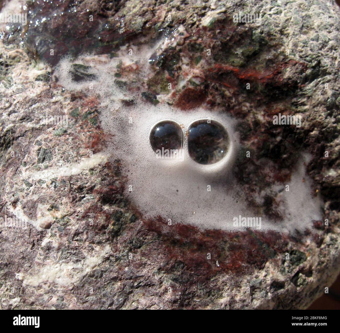 Calcium water reaction hi-res stock photography and images - Alamy