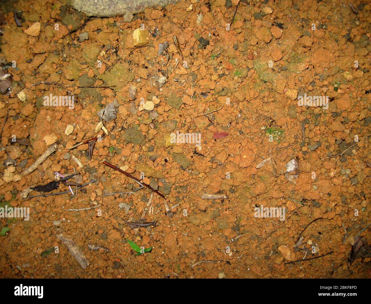 Laterite soil hi-res stock photography and images - Alamy