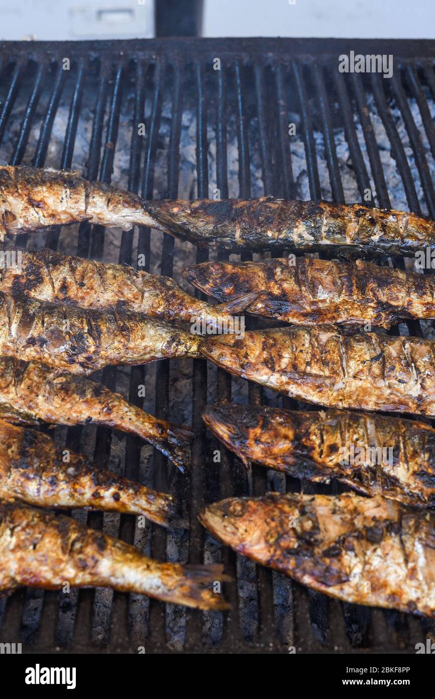 Freshly grilled fish on counter top stall, during seafood festival ...