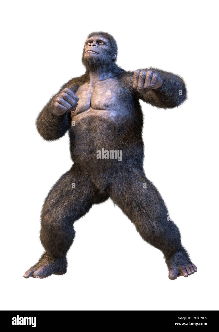 3D rendering of a gorilla ape isolated on white background Stock Photo ...