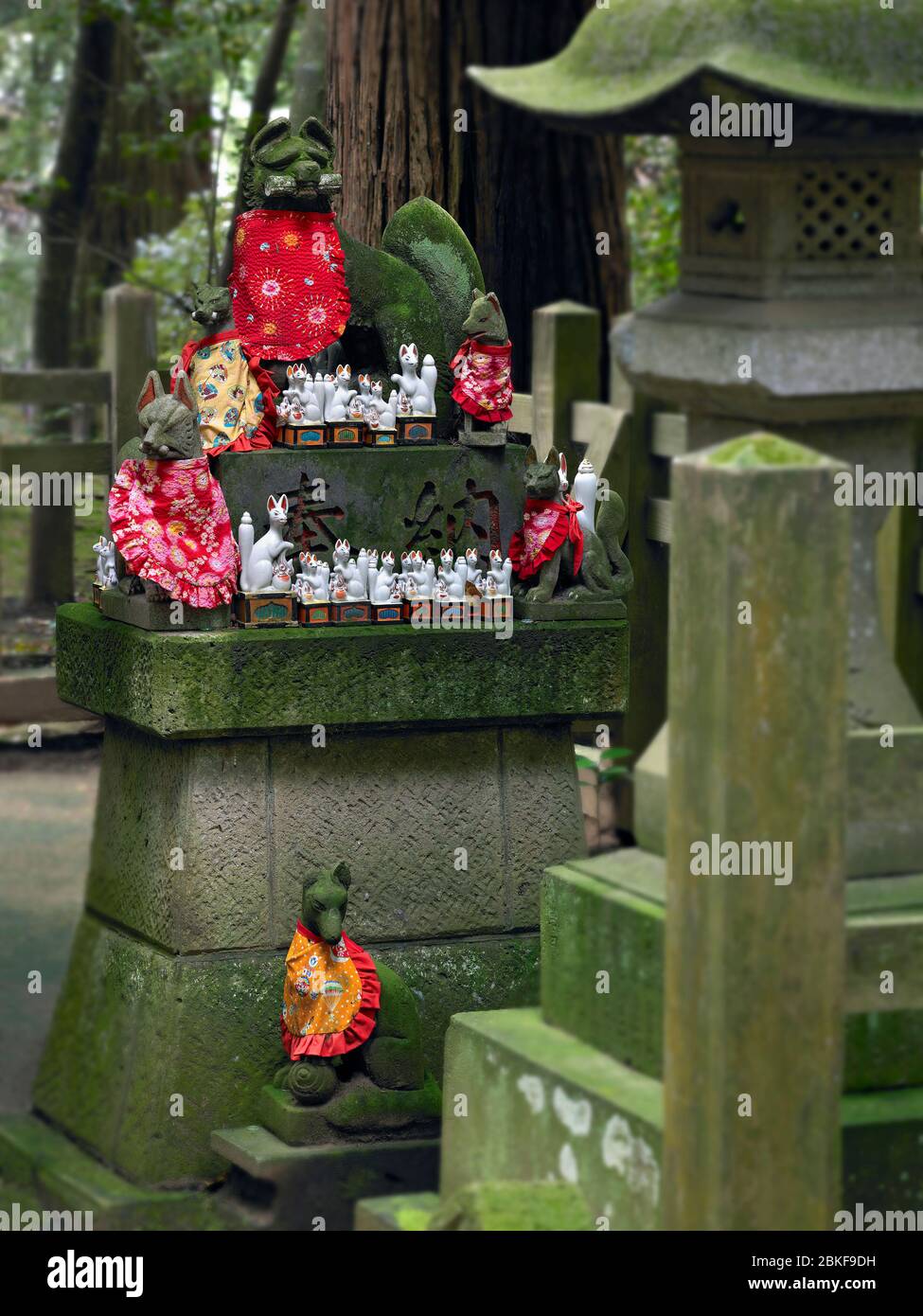 Kitsune fox deities, Kashima Jingu forest, Kashima, Japan. Inari is the ...