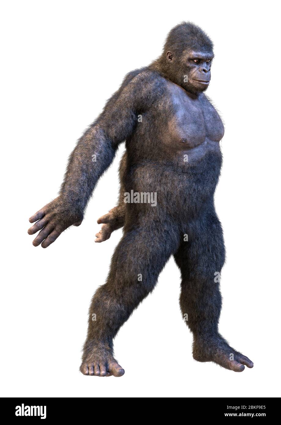 3D rendering of a gorilla ape isolated on white background Stock Photo ...