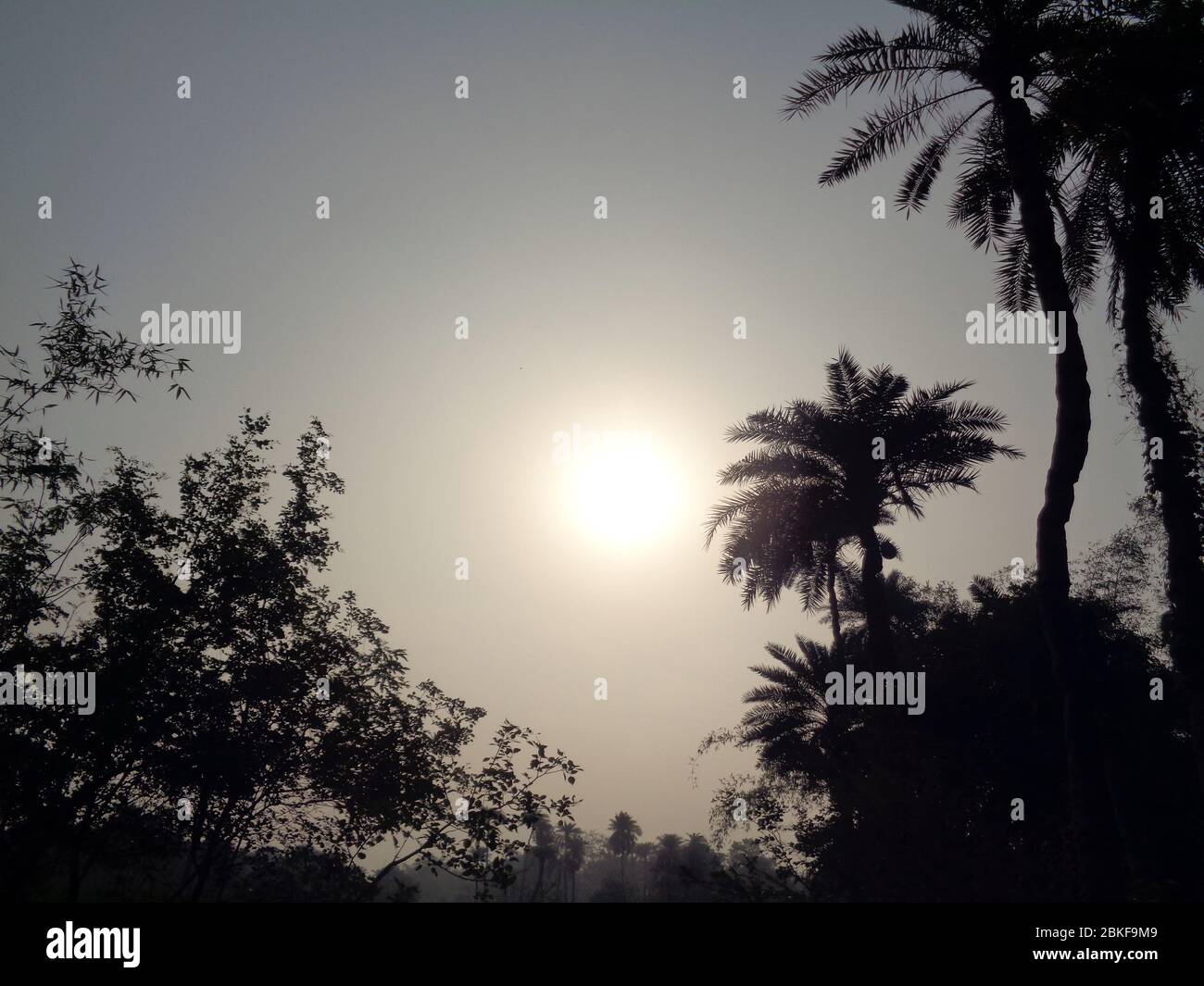 Tree shadow morning hi-res stock photography and images - Alamy