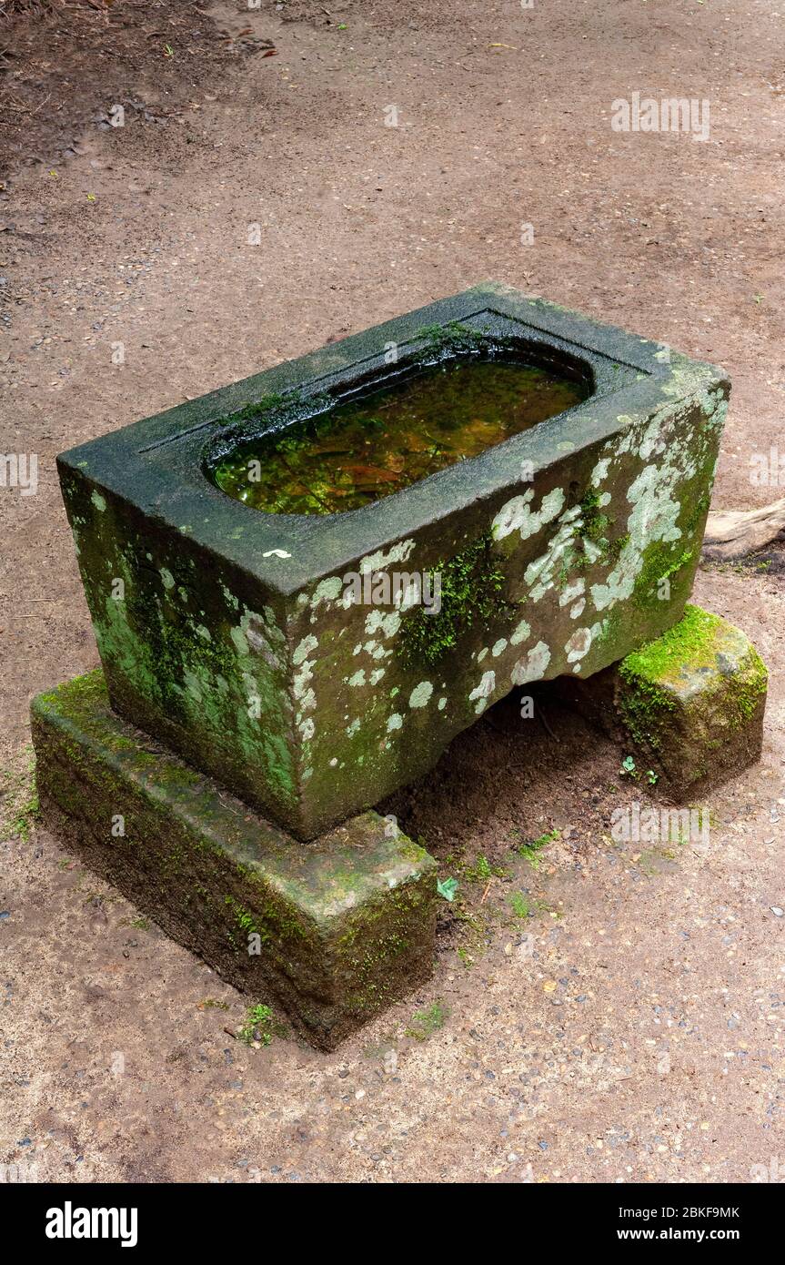Stone water trough, Kashima Jingu forest, Japan Stock Photo - Alamy