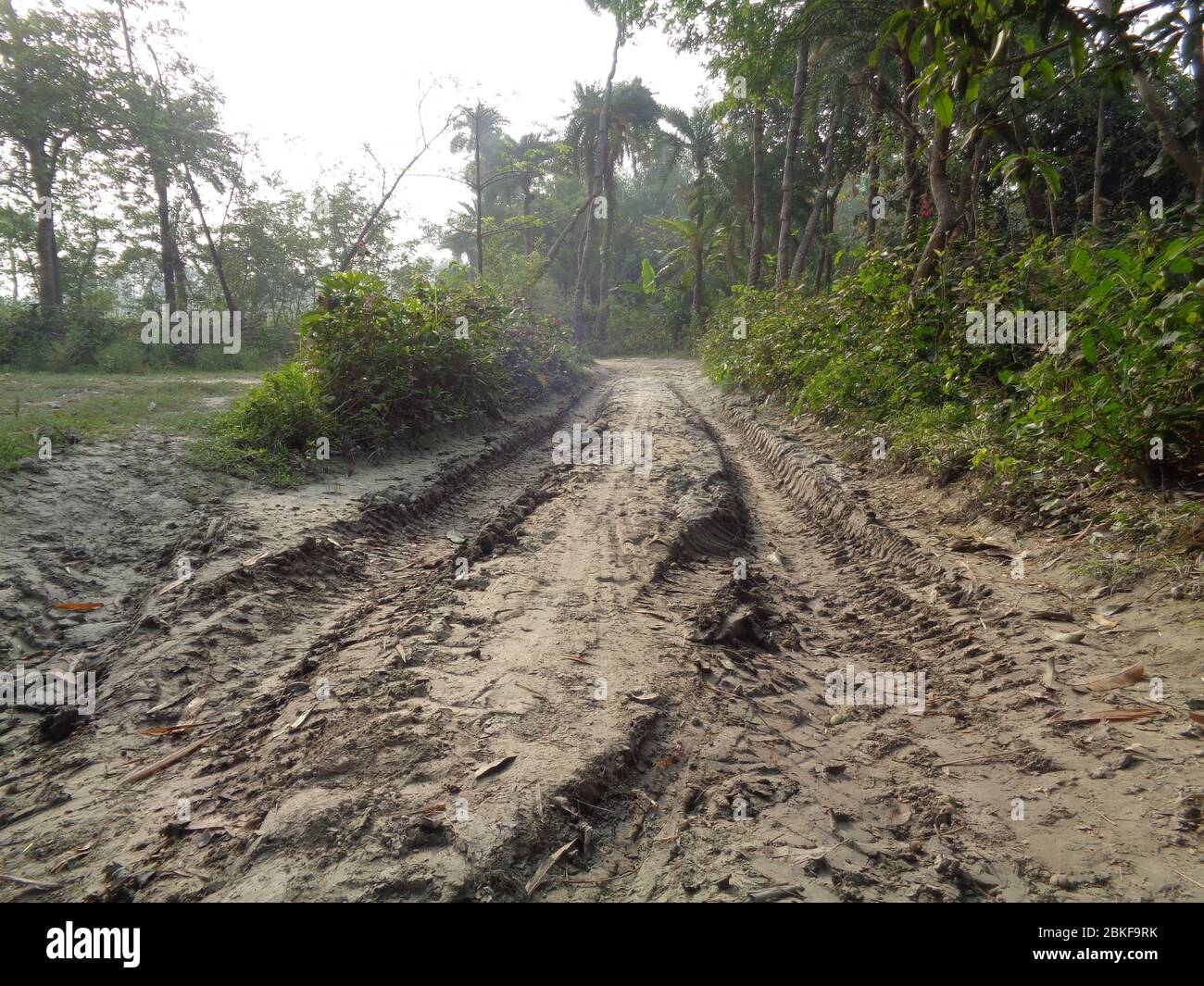 Track marks hi-res stock photography and images - Alamy