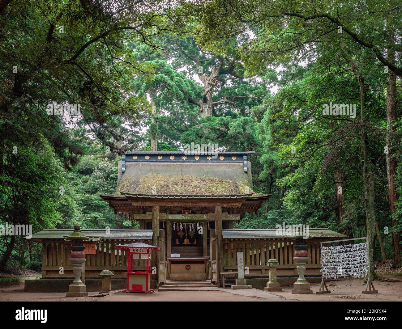 Forest Shinto Shrine, Kashima jingu, Japan Stock Photo - Alamy