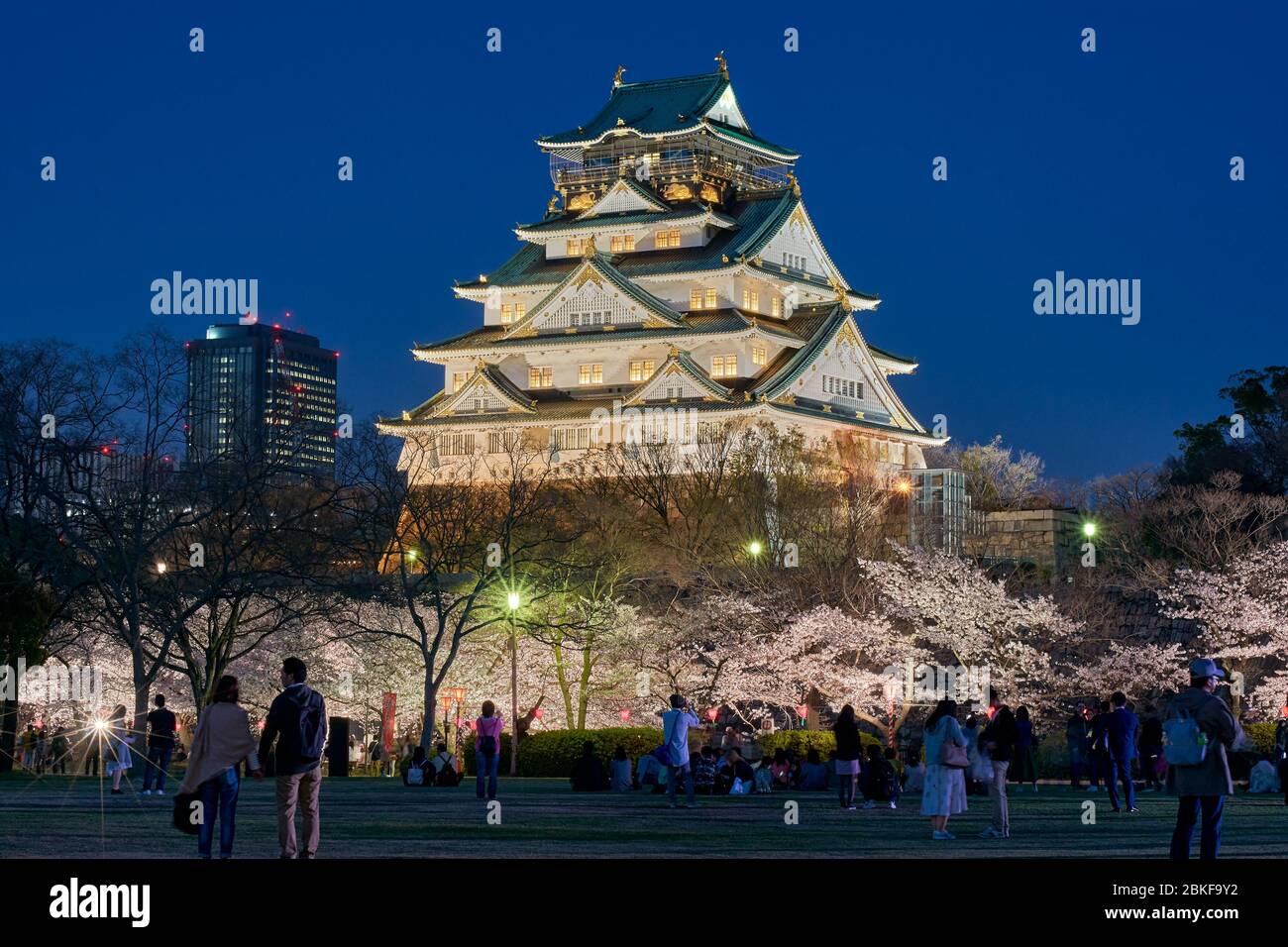 Osaka / Japan - March 28, 2018: People enjoying night viewing of cherry ...