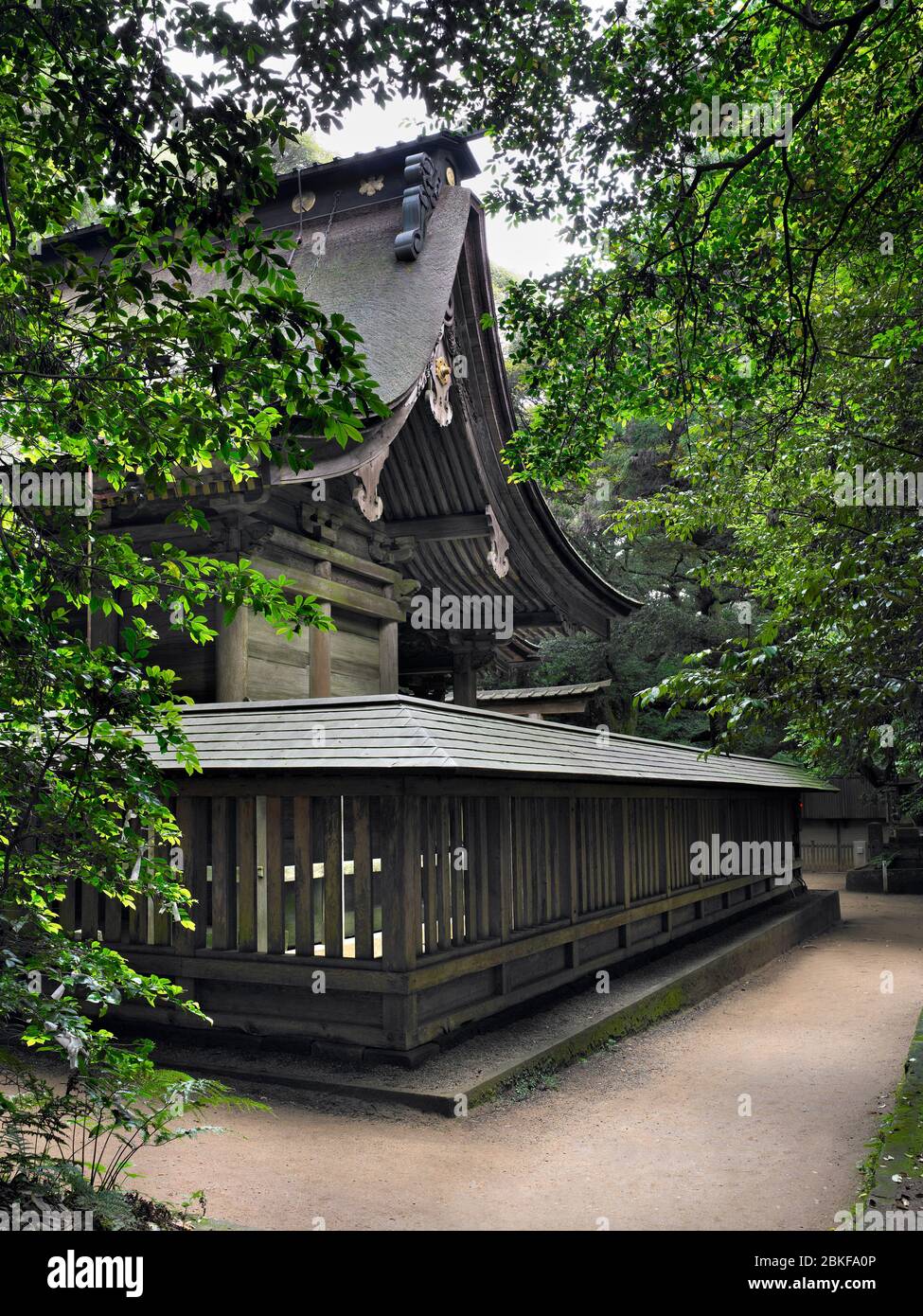 Forest Shinto Shrine, Kashima Jingu, Japan Stock Photo - Alamy
