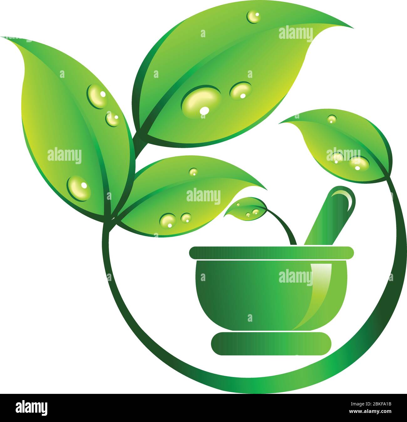 Illustration art of a herbal logo with isolated background Stock Vector ...
