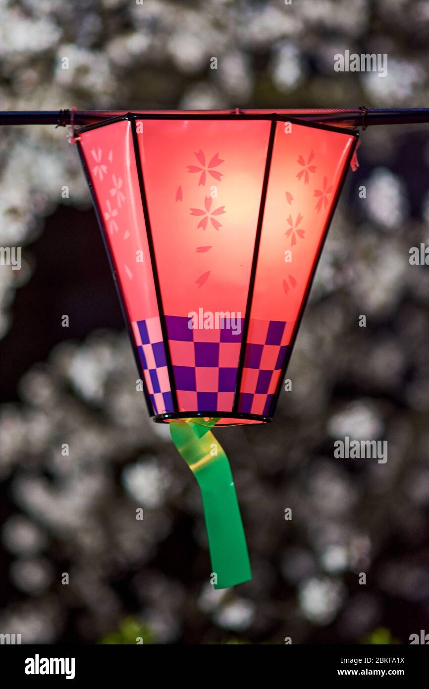 Decorative electric lanterns hung in Osaka castle park for night ...
