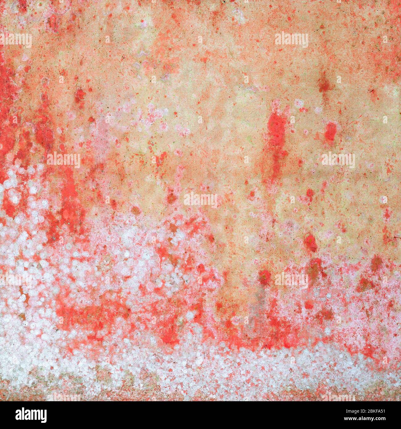 Temple wall detail, Kashima Jingu Shinto shrine, Kashima, Japan Stock ...