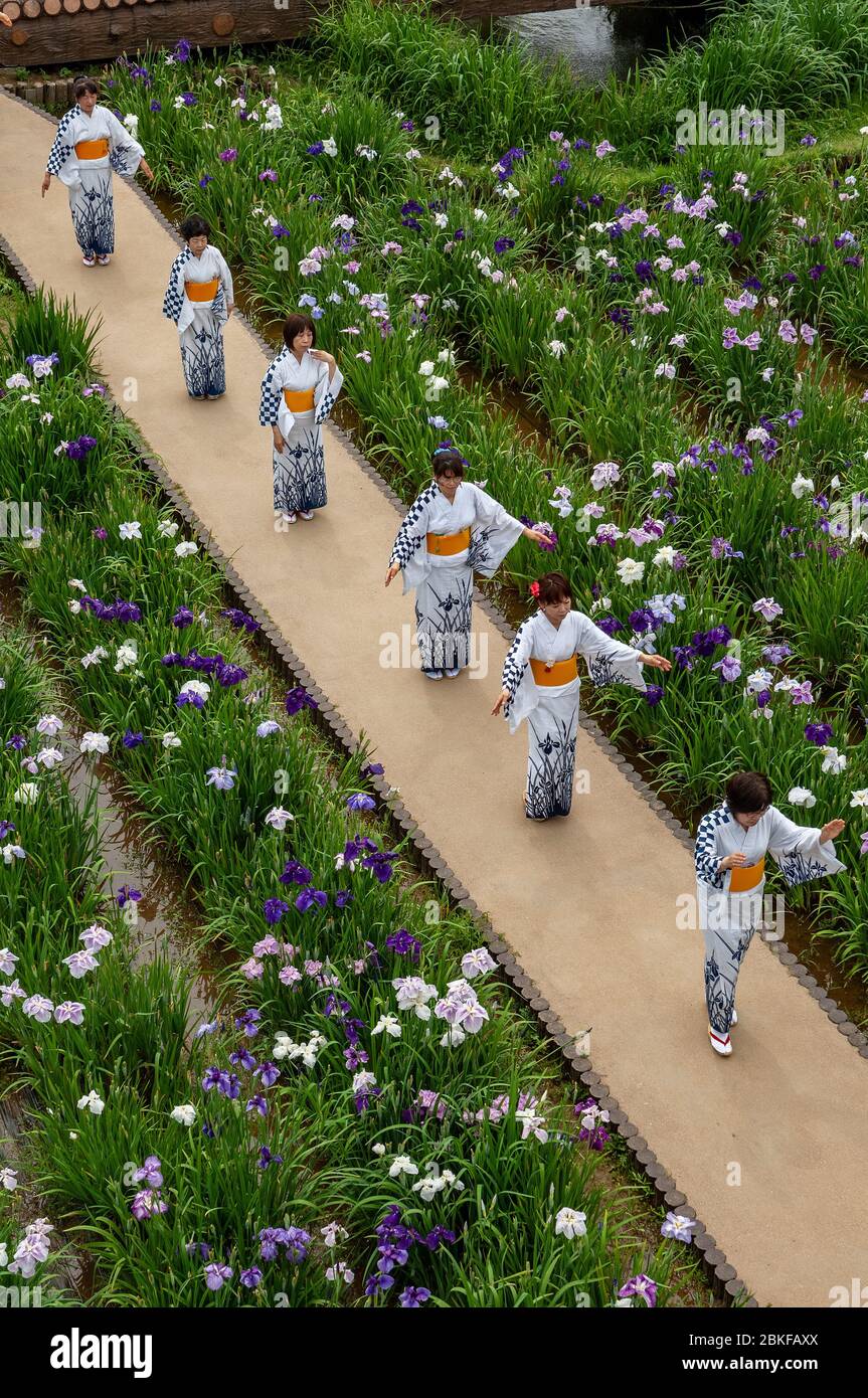 Dancers, Maekawa Iris festival, Itako City, Japan Stock Photo - Alamy