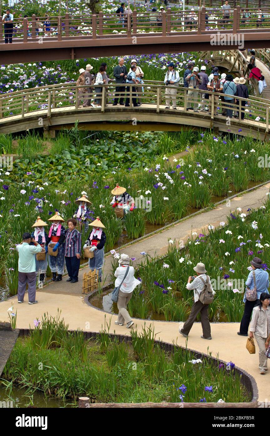 Itako High Resolution Stock Photography and Images - Alamy