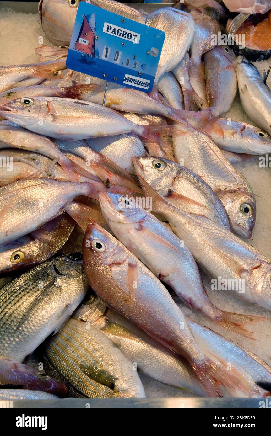 Pageot fish at Sanary sur Mer fish market, South of France Stock Photo ...