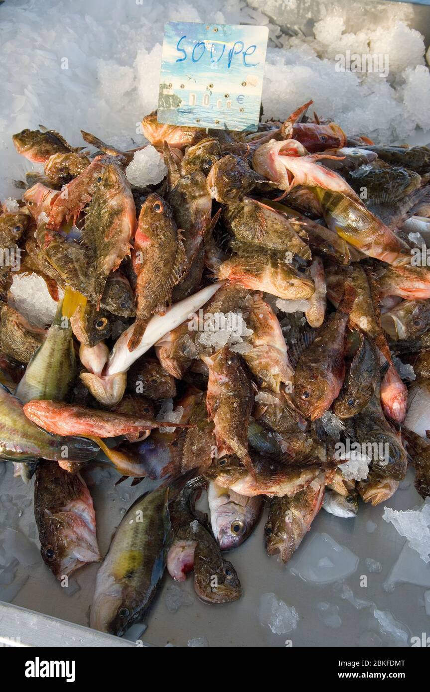 Fresh fish soup mix at Sanary-sur-Mer fish market, South of France ...