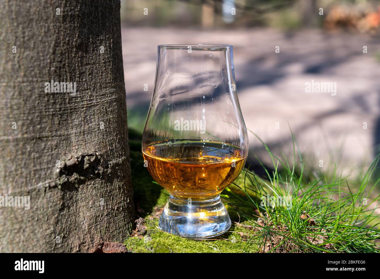 Tasting of scotch single malt whisky from Islay island, most intensely ...