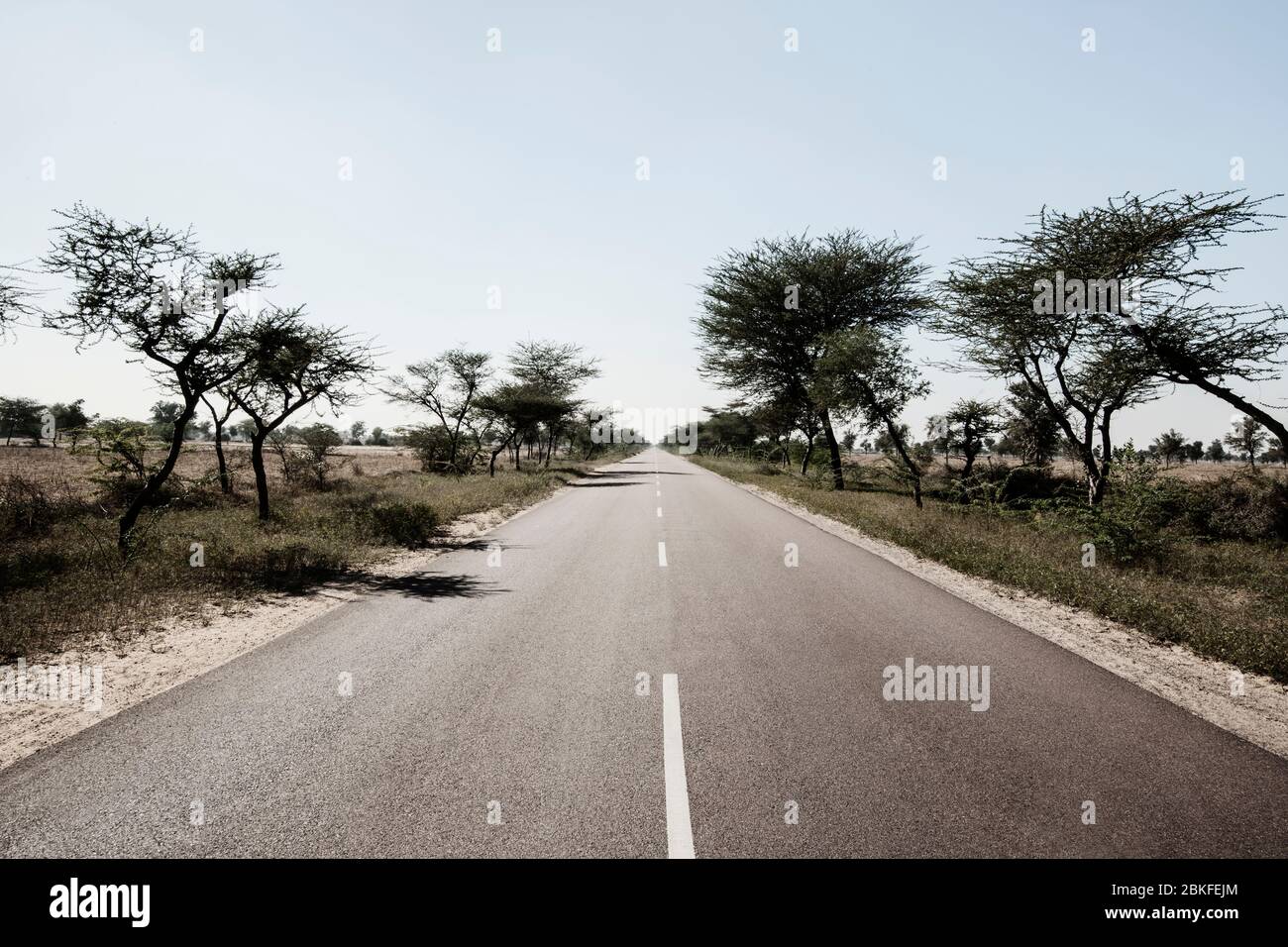 Jodhpur road trip hi-res stock photography and images - Alamy