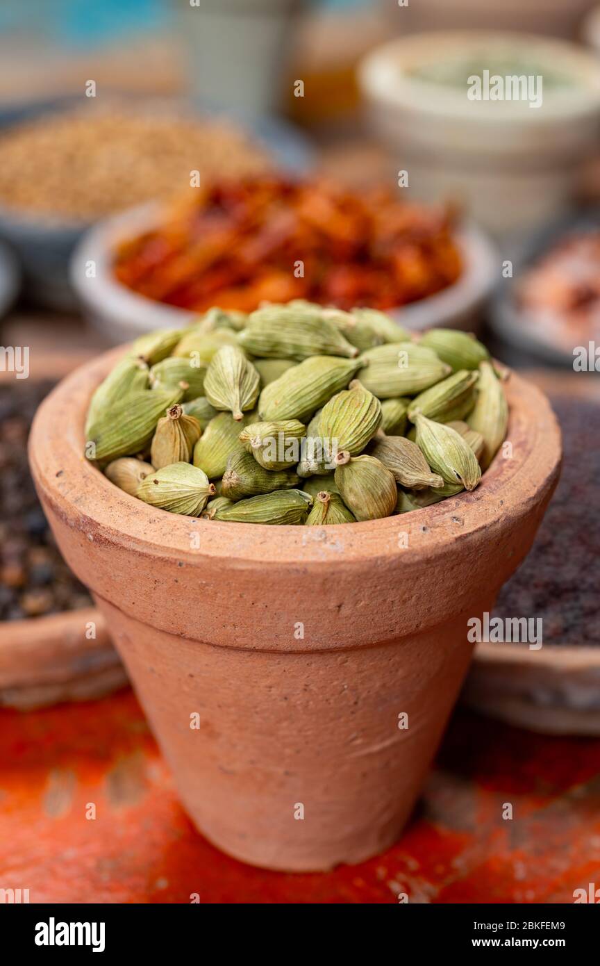 Indian spices collection, dried green cardamom pods and another spices ...