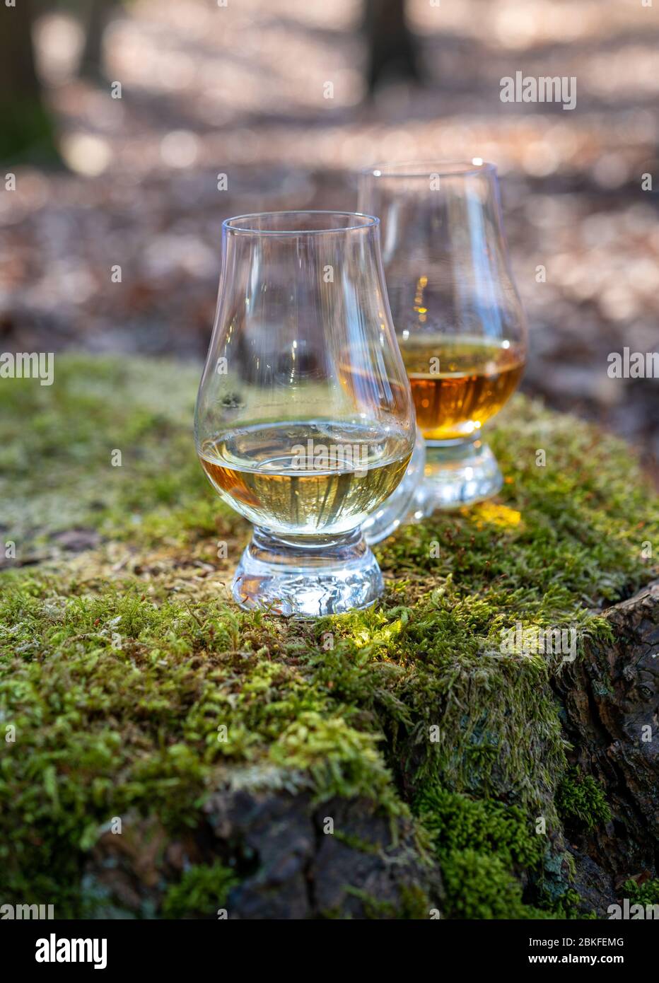 Tasting of scotch single malt whisky from Islay island, most intensely ...