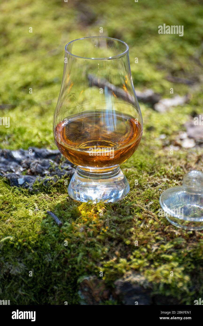 Tasting of scotch single malt whisky from Islay island, most intensely ...